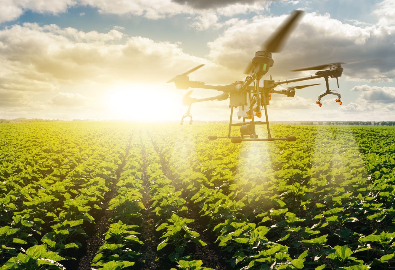 Cinis Fertilizer producerar världens mest miljövänliga mineralgödsel